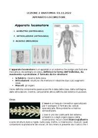 Apparato Locomotore: muscoli, articolazioni e scheletro | Sbobinature di Anatomia | Docsity