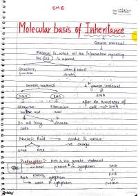 Molecular basis of inheritance | Study notes Biology | Docsity
