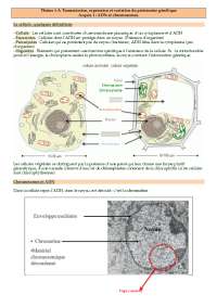 Cellule révision plus acquis | Notes Sciences de la Vie et de la Terre ...