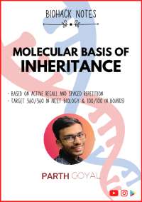 Molecular basis of inheritance ch 6 | Study notes Biology | Docsity
