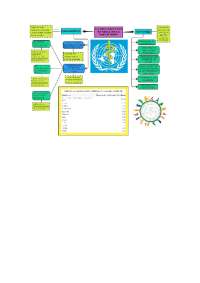 ESQUEMA DE ACTIVIDADES Y FINANCIAMIENTO DE LA OMS | Esquemas y mapas conceptuales de Medicina ...