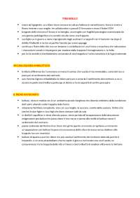 PIRANDELLO VITA E OPERE | Appunti di Italiano | Docsity