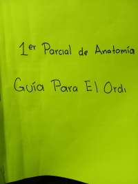 Guía ordinario anatomía | Guías, Proyectos, Investigaciones de Anatomía ...