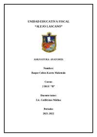 Anatomia, Anatomía, trabajo, talleres, proyectos | Guías, Proyectos, Investigaciones de Anatomía ...