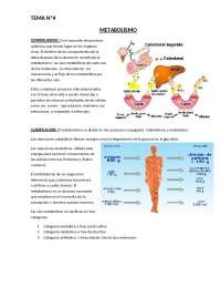 Tema metabolismo bioquímica | Apuntes de Biología | Docsity