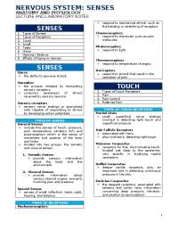 Nervous System: Senses | Study notes Anatomy | Docsity