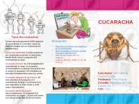 Tríptico la cucaracha | Esquemas y mapas conceptuales de Ciencias de la ...