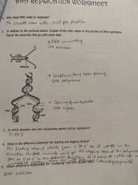 Dna replication and cell membrane notes | Study notes Biology | Docsity