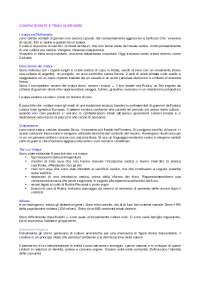 Seconda parte appunti storia delle religioni e delle filosofie dell'India | Appunti di Scienza ...