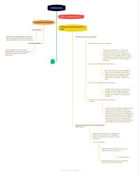 Mappa concettuale prima parte dispensa | Schemi e mappe concettuali di Filosofia Politica | Docsity