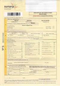 Modelo de formato sunarp amarillo | Guías, Proyectos, Investigaciones de Derecho público | Docsity