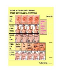 Test de Capurro de recien nacidos | Esquemas y mapas conceptuales de ...