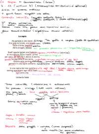 Analisi de “la capra” (Saba) | Schemi e mappe concettuali di Italiano ...
