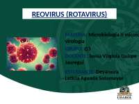 Reovirus, clasificación, tratamiento, patología, vacunas, método de ...