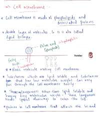 CELL MEMBRANE;DETAILED NOTES | Study notes Physiology | Docsity