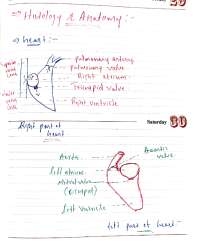 HISTOLOGY AND ANATOMY OF HEART | Study notes Physiology | Docsity