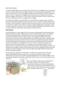 Struttura della cellula batterica | Appunti di Microbiologia | Docsity