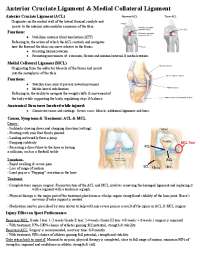 ACL and MCL information handout: Functions, locations, Injury, etc ...