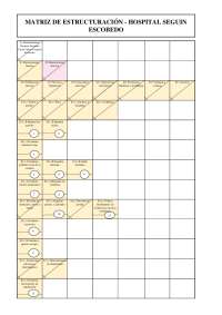 MATRIZ Y PLAN DE ESTRUCTURACION ESSALUD | Guías, Proyectos ...