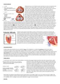 Valvole cardiache anatomia, fisiologia e malattie valvolari | Dispense ...
