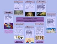 Ramas de la filosofía | Esquemas y mapas conceptuales de Filosofía | Docsity