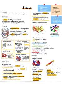 Resumo de Proteinas (bioquímica) | Esquemas Bioquímica | Docsity