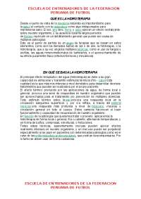 MONOGRAFIA HIDROTERAPIA | Guías, Proyectos, Investigaciones de Medicina | Docsity