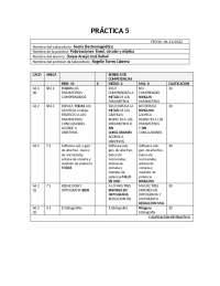 Práctica 5 Reflexion de ondas | Guías, Proyectos, Investigaciones de Electromagnetismo | Docsity