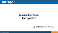 Ejercicios cálculo diferencial entregable 1 | Ejercicios de Cálculo diferencial y integral | Docsity