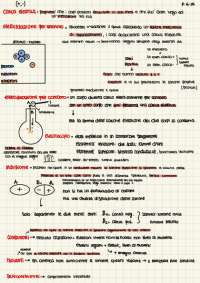 Energia elettrostatica | Appunti di Fisica | Docsity