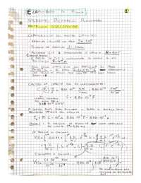 Elaborato Elettromagnetismo di Fisica | Esercizi di Fisica | Docsity