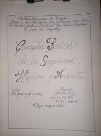 Conceptos_basicos_de_la_higiene_ | Esquemas y mapas conceptuales de Mecánica | Docsity