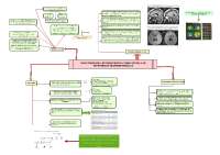 Mapa sobre un estudio de caso | Esquemas y mapas conceptuales de ...