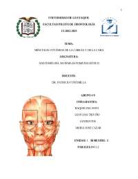 MUSCULOS CUTANEOS CRANEO Y CARA | Guías, Proyectos, Investigaciones de Anatomía | Docsity
