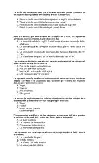 Ejercicio De Cara Y Cuello Ejercicios De Anatomía Docsity