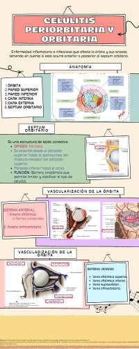 CELULITIS PERIORBITARIA Y ORBITARIA | Monografías, Ensayos de Pediatría ...