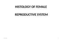 Histology of female reproductive system | Schemes and Mind Maps Anatomy ...