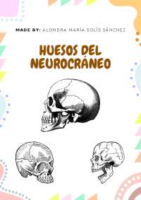 Huesos del Neurocráneo | Apuntes de Anatomía | Docsity