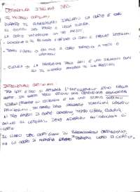 Letteratura italiana- Il modello cortigiano | Appunti di Lingue e letterature classiche | Docsity