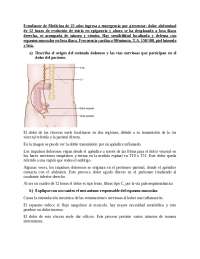 Caso clinico Apendicitis | Apuntes de Fisiología | Docsity