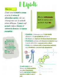 Tipi di lipidi nel corpo umano | Sintesi del corso di Biologia | Docsity