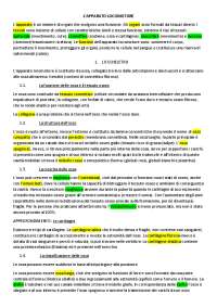 Apparato locomotore: scheletro, articolazioni e muscoli | Schemi e mappe concettuali di Anatomia ...