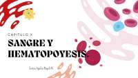 SANGRE Y HEMATOPOYESIS- HISTOLOGÍA | Diapositivas de Histología | Docsity
