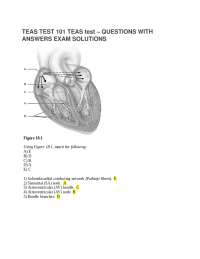 TEAS TEST 101 TEAS test – QUESTIONS WITH ANSWERS EXAM SOLUTIONS | Exams ...
