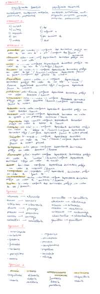 Esquemas tema 2 inglés | Esquemas y mapas conceptuales de Inglés | Docsity