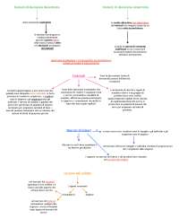 Schema sul primo capitolo di elementi di economia | Schemi e mappe concettuali di Economia | Docsity