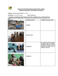 DIAGNOSTICO DE CIUDADANIA EN NIVELES MENORES | Esquemas y mapas conceptuales de Humanidades y ...