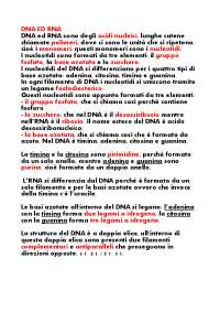 DNA E RNA (duplicazione, codice genetico, errori) | Appunti di Biologia ...