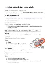 La cellula procariotica ed eucariotica | Appunti di Biologia Applicata | Docsity