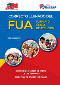 Fua manual, llenado correcto, minsa, diresa junin | Resúmenes de Enfermería | Docsity